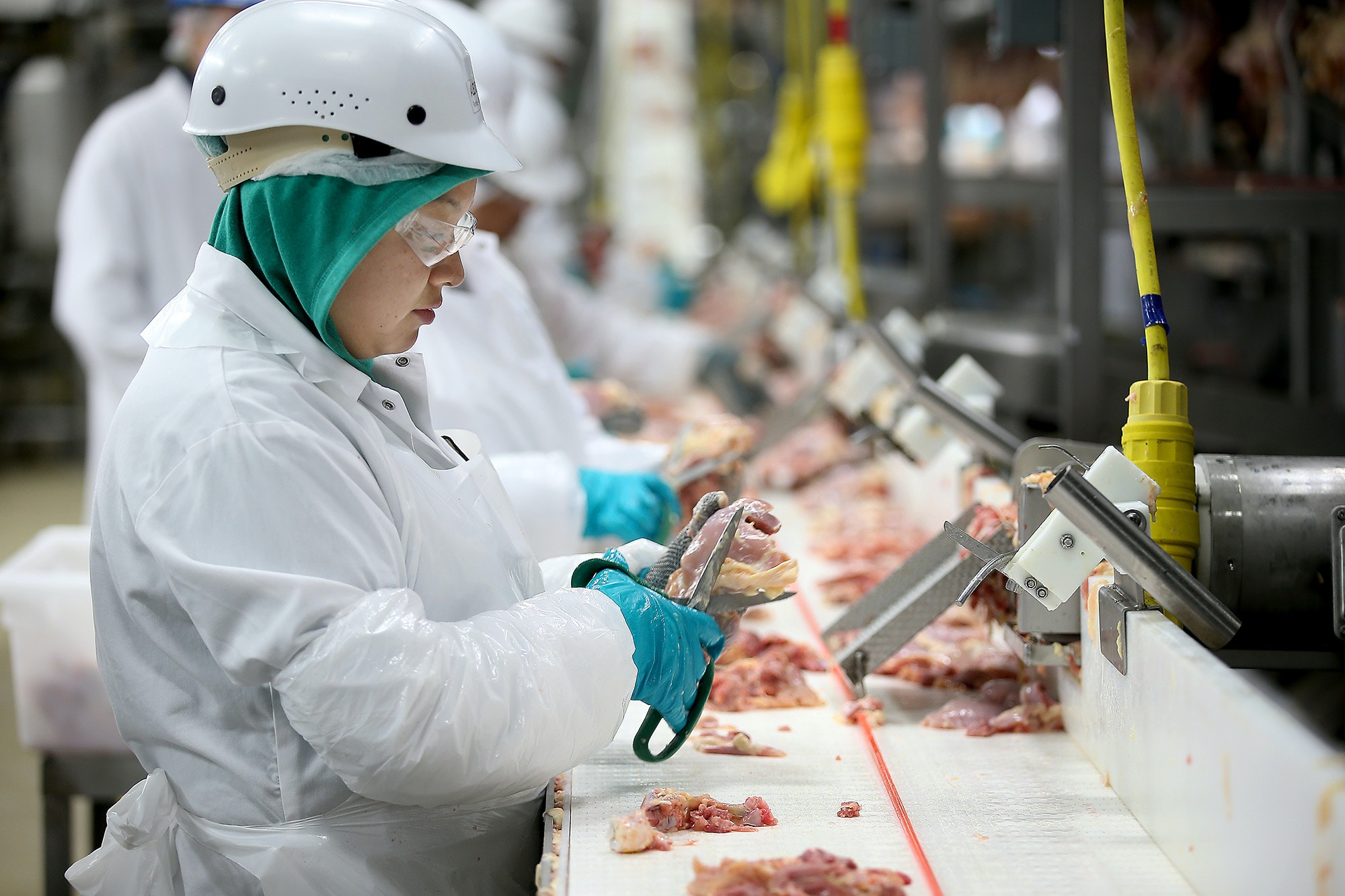 Fabrica de procesare carne Germania 1800 euro - Serviciu Românesc