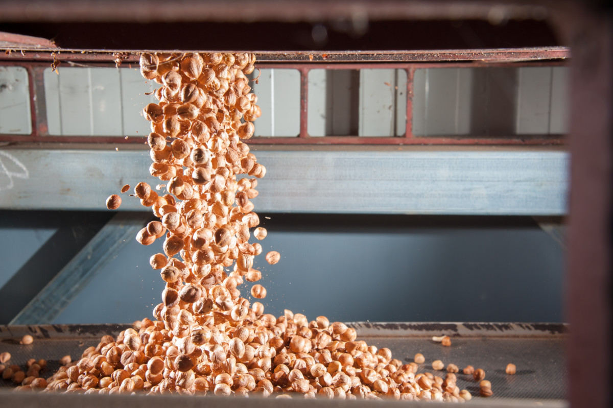 Operator productie Olanda - Snack Connection 12.69 €/ora - Serviciu ...